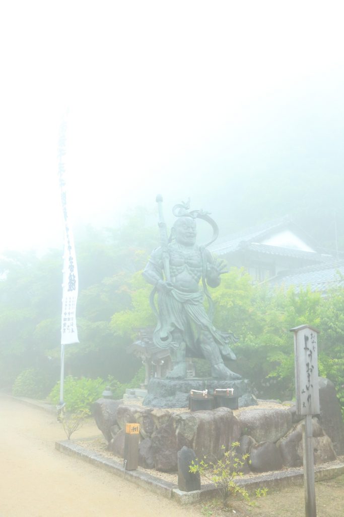 「巡礼に出た猫」観音正寺│ゆかし日本、猫めぐり#15 | web太陽 ― webtaiyo