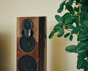高音質を体感。–– 六本木・LINNの試聴室 | web太陽 ― webtaiyo