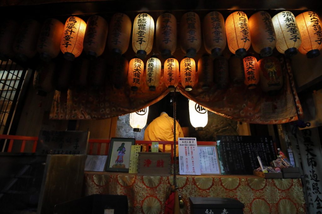 「本当は甘えん坊!?」仙龍寺│ゆかし日本、猫めぐり#25 | web太陽 ― webtaiyo