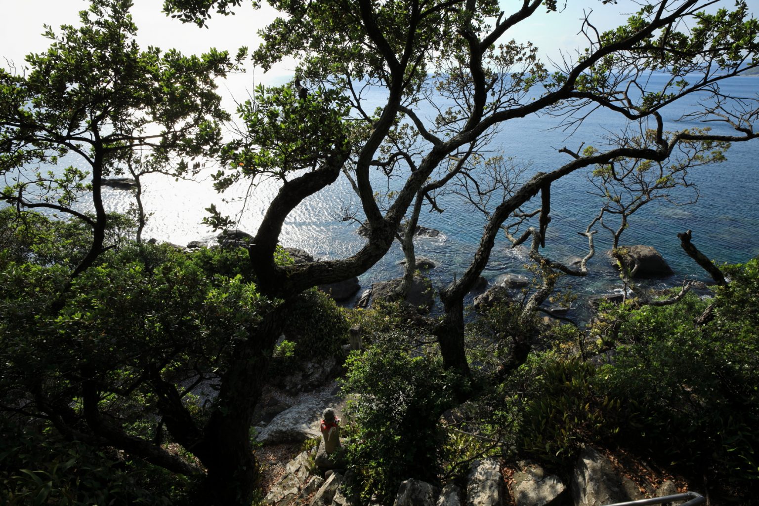 空海 祈りの絶景 #9 室戸岬での修行〜高知編 その2〜 | web太陽 ― webtaiyo