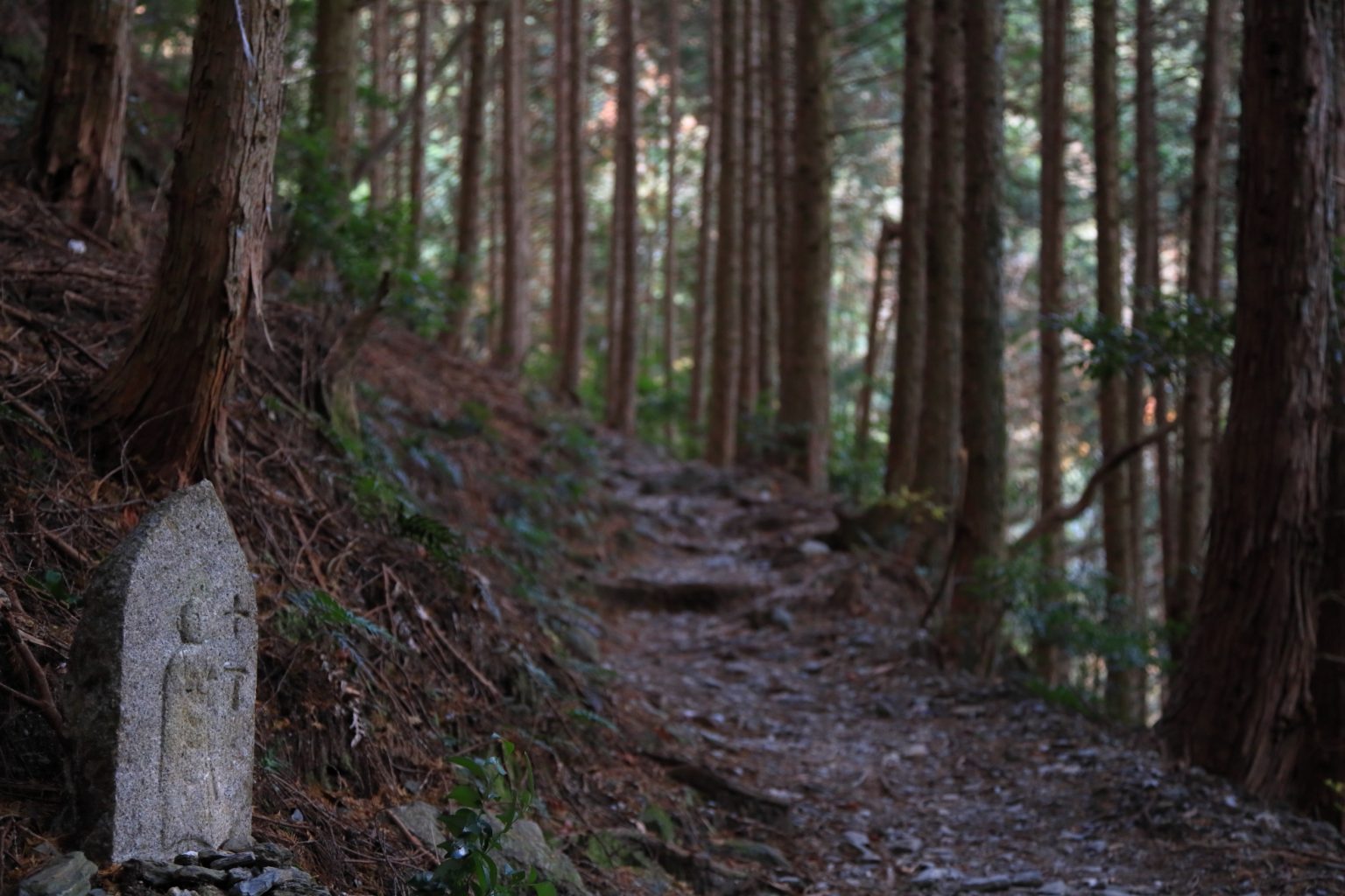 空海 祈りの絶景 #10 四国遍路〜愛媛県〜 | web太陽 ― webtaiyo