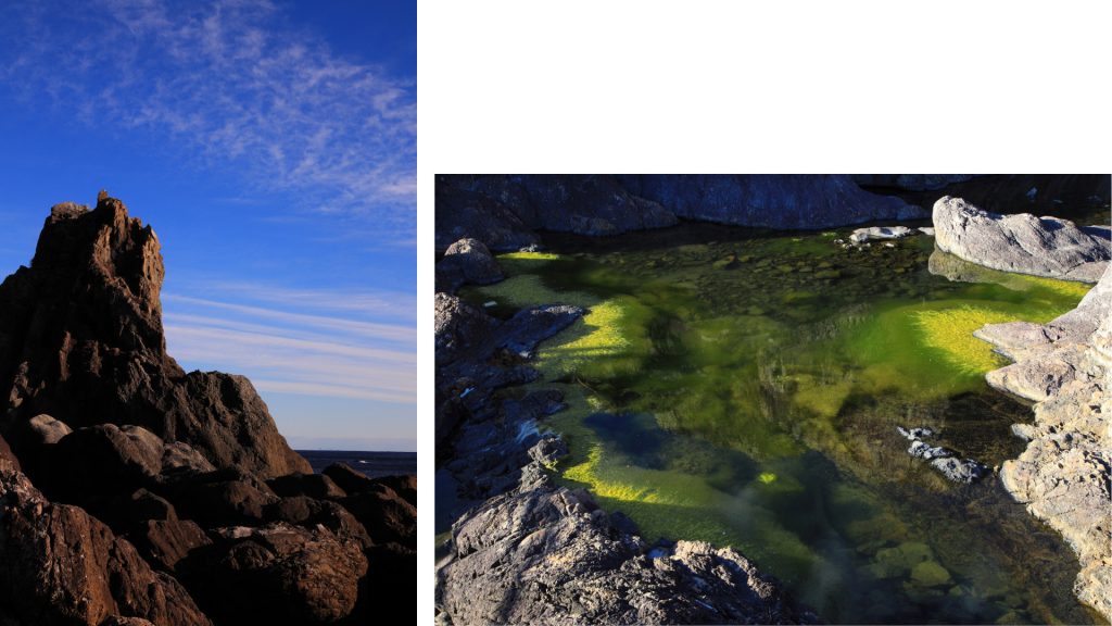 空海 祈りの絶景 #9 室戸岬での修行〜高知編 その2〜 | web太陽 ― webtaiyo