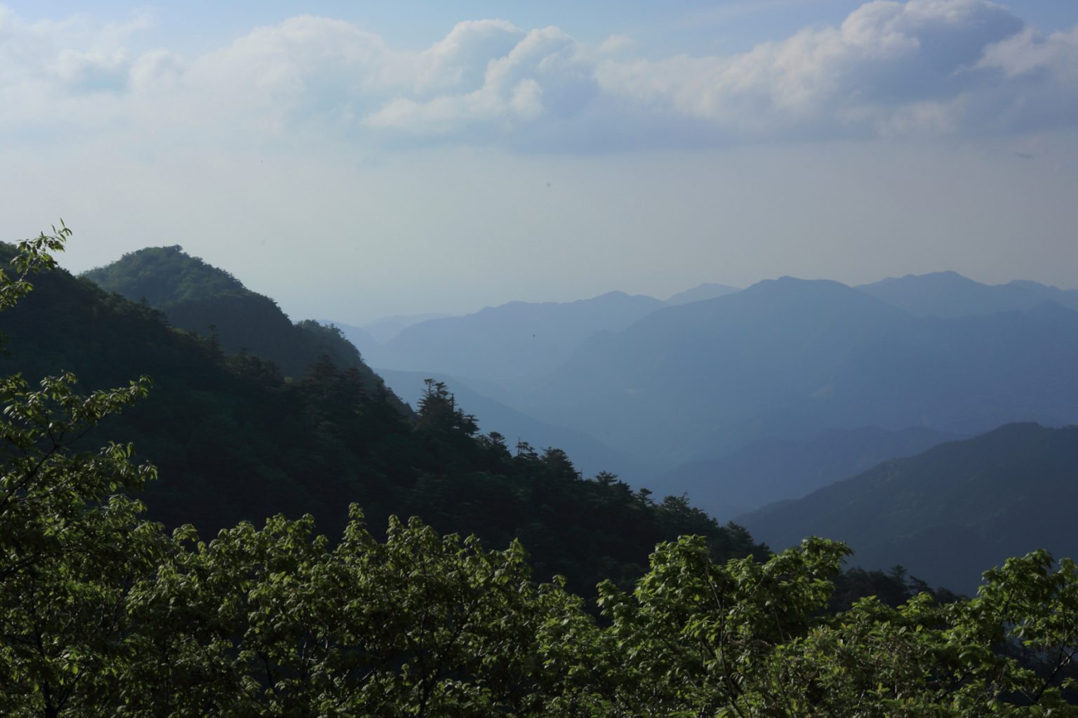 空海 祈りの絶景 #9 室戸岬での修行〜高知編 その2〜 | web太陽 ― webtaiyo