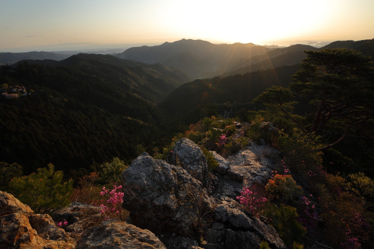 空海 祈りの絶景 #9 室戸岬での修行〜高知編 その2〜 | web太陽 ― webtaiyo