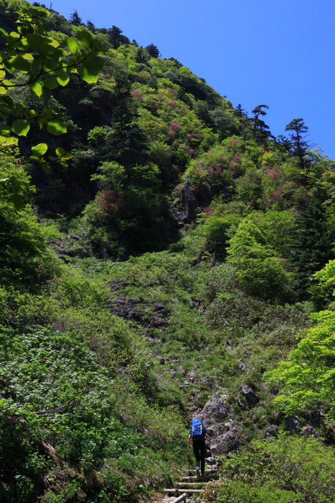 空海 祈りの絶景 #11 神宿る聖地、石鎚山 | web太陽 ― webtaiyo