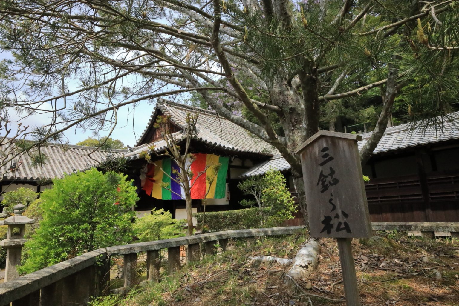 空海 祈りの絶景 #13 東大寺と空海（前編） | web太陽 ― webtaiyo