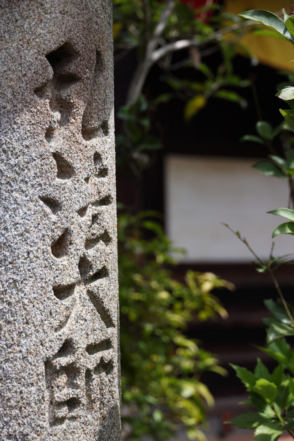 空海 祈りの絶景 #13 東大寺と空海（前編） | web太陽 ― webtaiyo