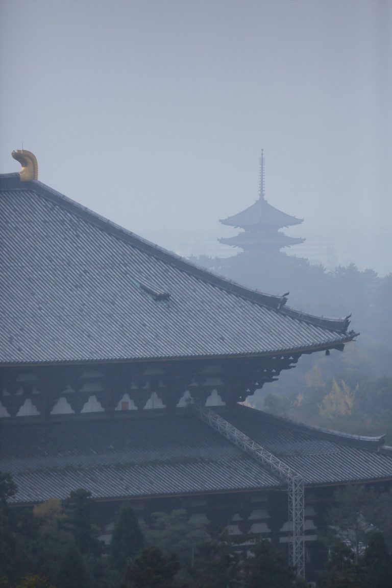 空海 祈りの絶景 #13 東大寺と空海（前編） | web太陽 ― webtaiyo