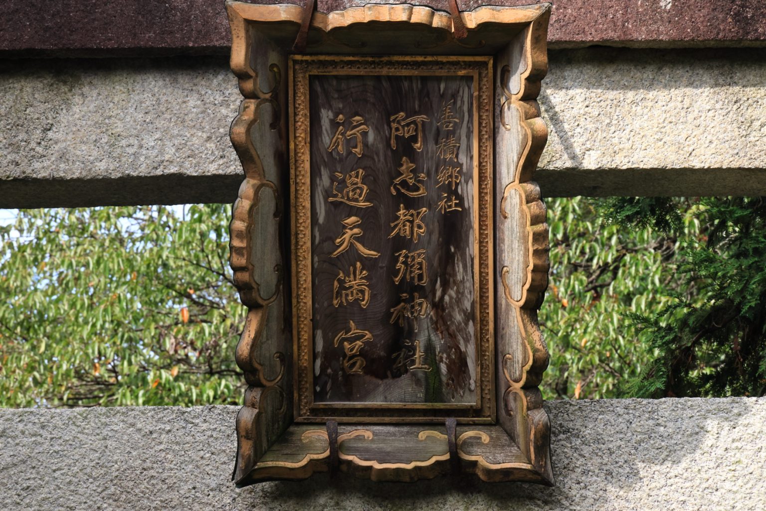 「ゆっくり距離を縮めて」阿志都弥神社・行過天満宮│ゆかし日本、猫めぐり#35 | web太陽 ― webtaiyo