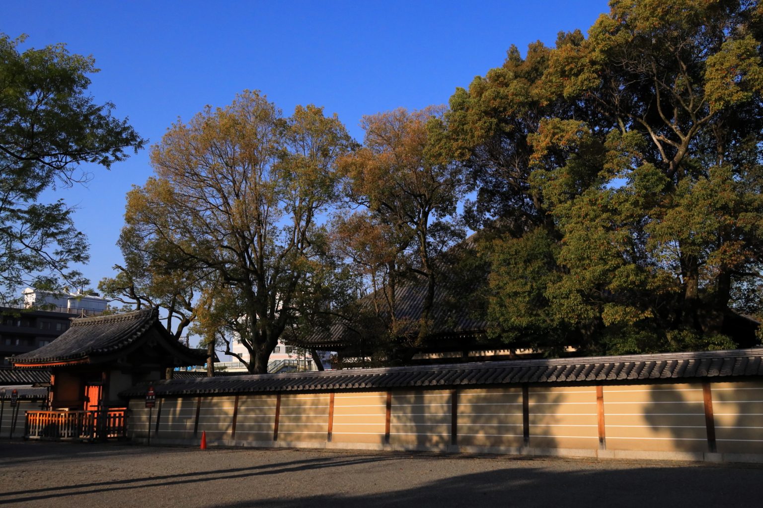 空海 祈りの絶景 #16 入京後の天皇との関わりと如意宝珠 | web太陽 ― webtaiyo