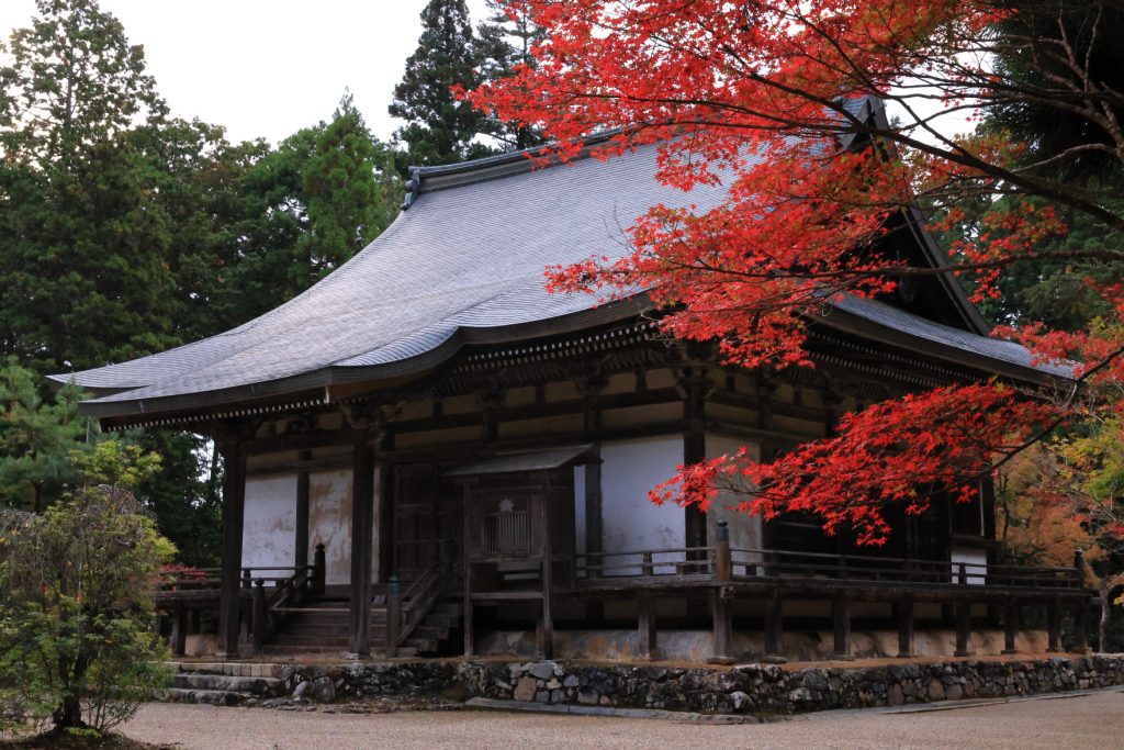 空海 祈りの絶景 #17 神護寺その1〜空海と最澄〜 | web太陽 ― webtaiyo