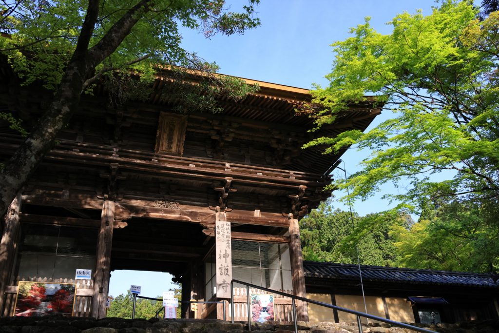 空海 祈りの絶景 #16 入京後の天皇との関わりと如意宝珠 | web太陽 ― webtaiyo