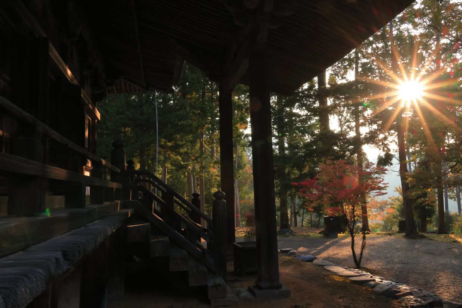 空海 祈りの絶景 #18 神護寺その2〜密教をめぐる最澄との交流 その後〜 | web太陽 ― webtaiyo