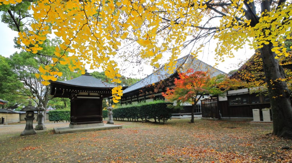 空海 祈りの絶景 #20 東寺その1〜真言宗の立教開宗〜 | web太陽 ― webtaiyo
