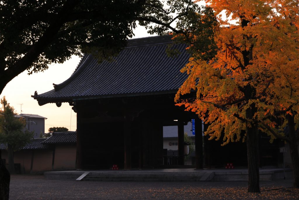 空海 祈りの絶景 #20 東寺その1〜真言宗の立教開宗〜 | web太陽 ― webtaiyo
