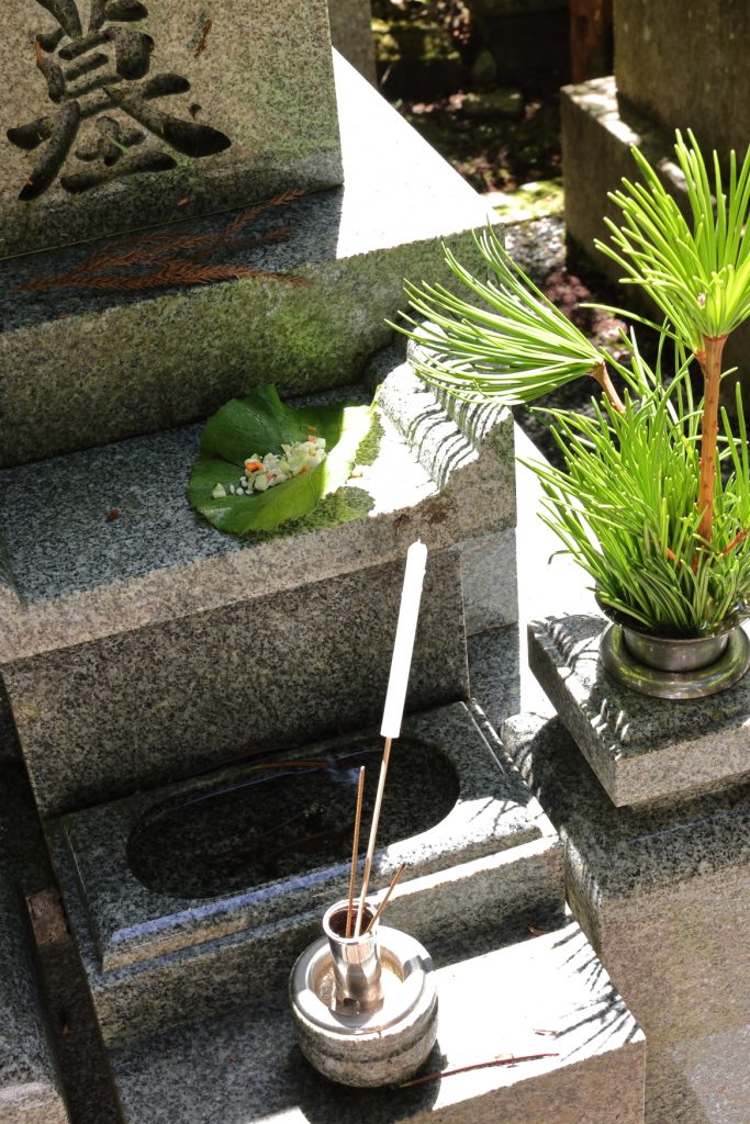 空海 祈りの絶景 #23 高野山その2〜入定の地〜 | web太陽 ― webtaiyo