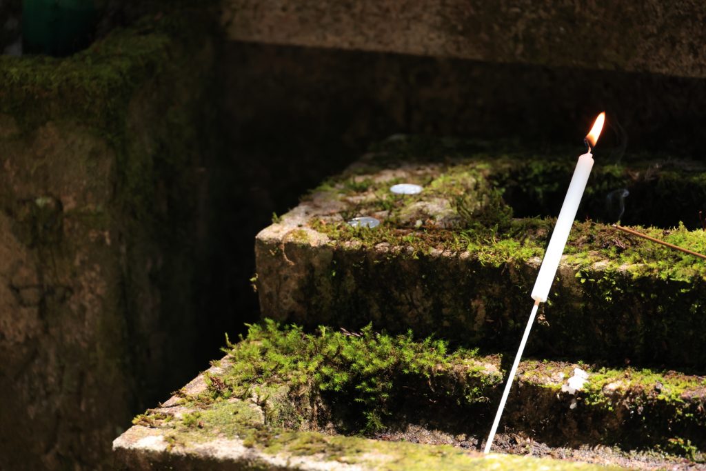 空海 祈りの絶景 #23 高野山その2〜入定の地〜 | web太陽 ― webtaiyo