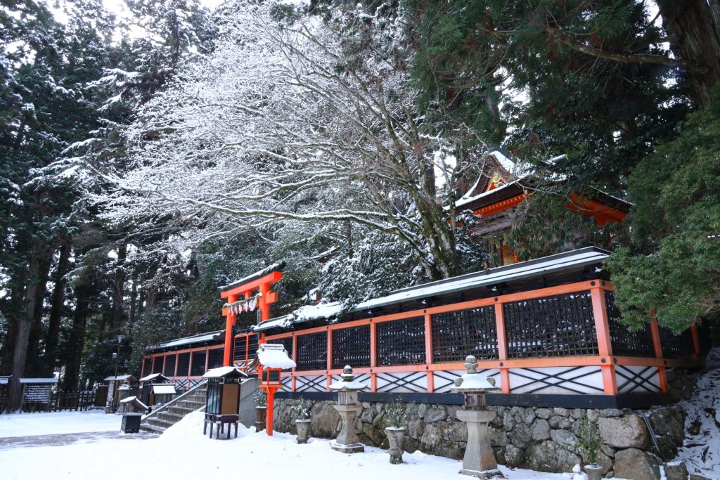 空海 祈りの絶景 #22 高野山その1〜真言密教の思想を具現化した聖なる地〜 | web太陽 ― webtaiyo