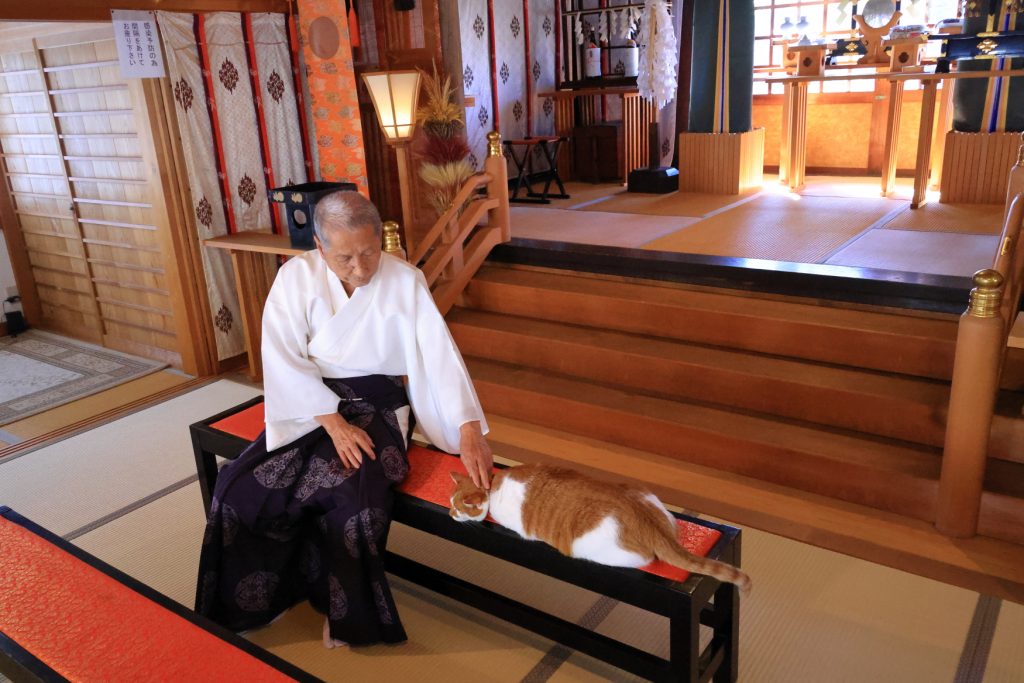 「名誉宮司に会いに」伊勢神社│ゆかし日本、猫めぐり#52 | web太陽 ― webtaiyo