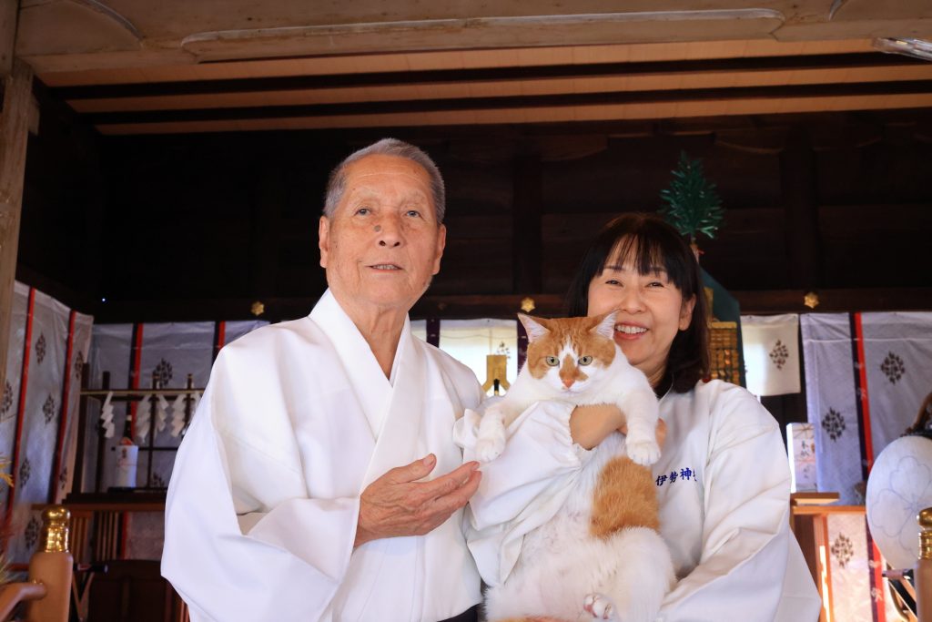 「名誉宮司に会いに」伊勢神社│ゆかし日本、猫めぐり#52 | web太陽 ― webtaiyo