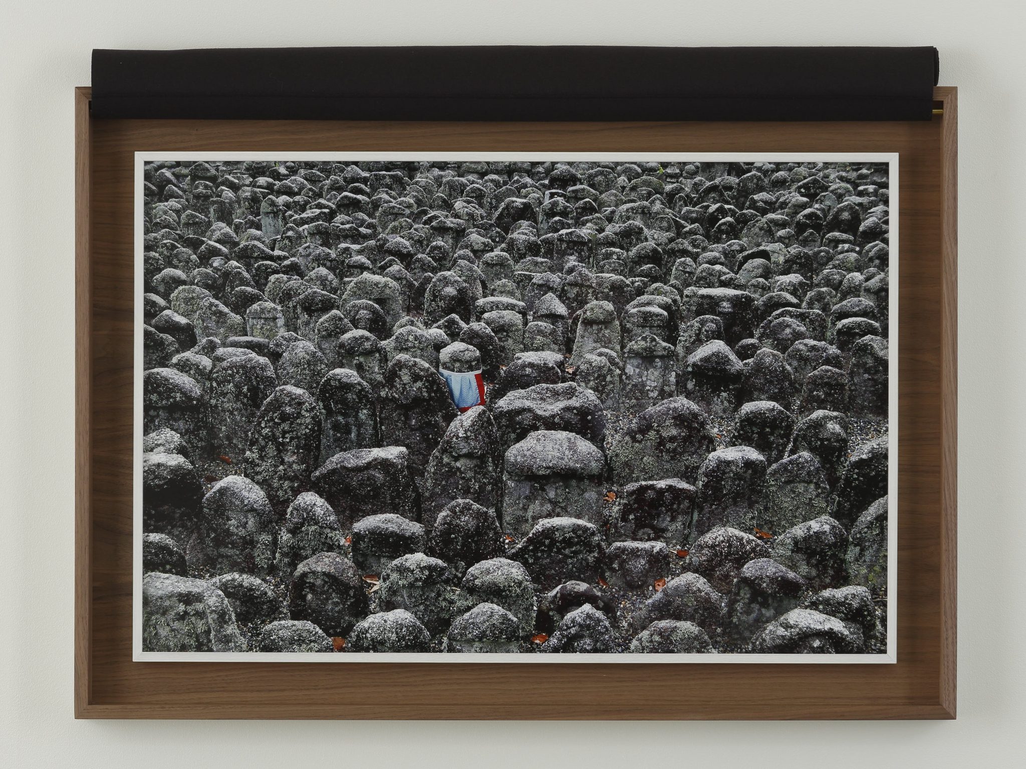 第35回「高松宮殿下記念世界文化賞」 授賞式典リポート！ | web太陽 ― webtaiyo